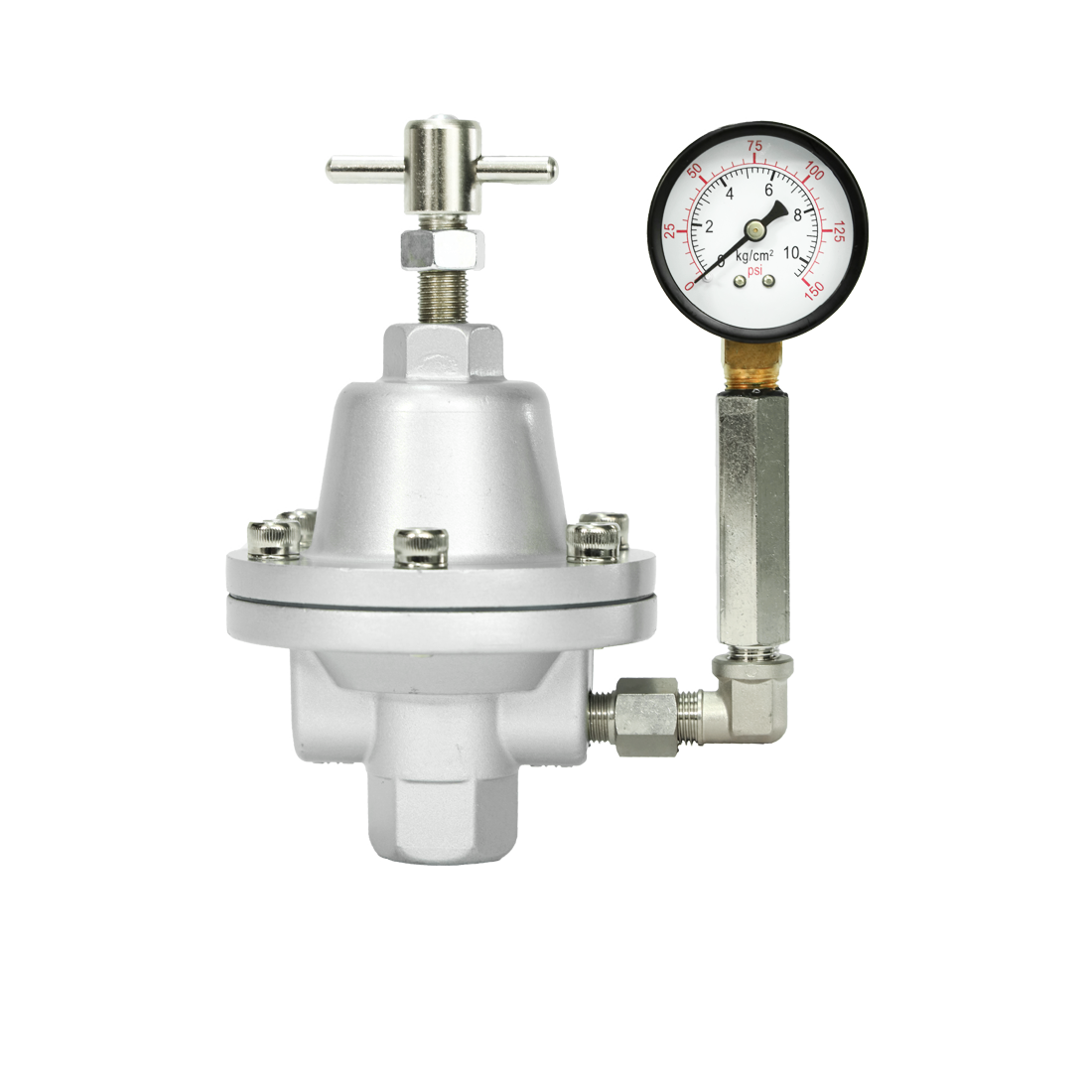 Liquid Pressure Regulator for Coating &AODD Pump Systems|DYISHENG